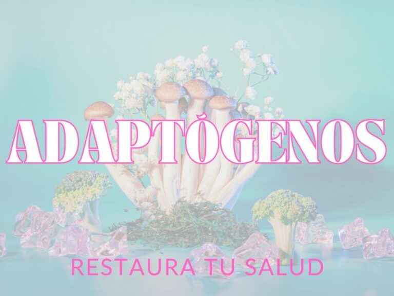 Adaptógenos - 8 plantas y 8 hongos - MF Mindful