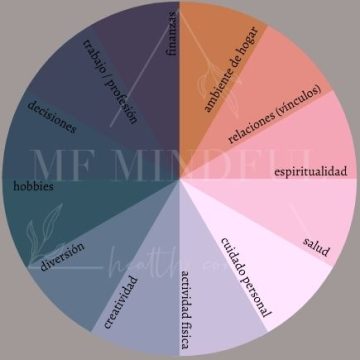 Circulo de la vida - Health Coaching - MF Mindful